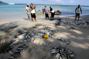 IUU fishing and fisheries crime in the SADC region – MCSCC